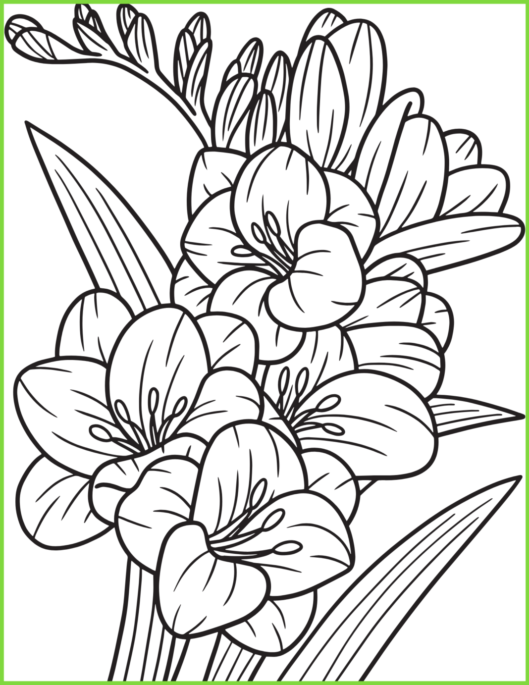 Printable Coloring Pages for Teens (Free PDF Printables)