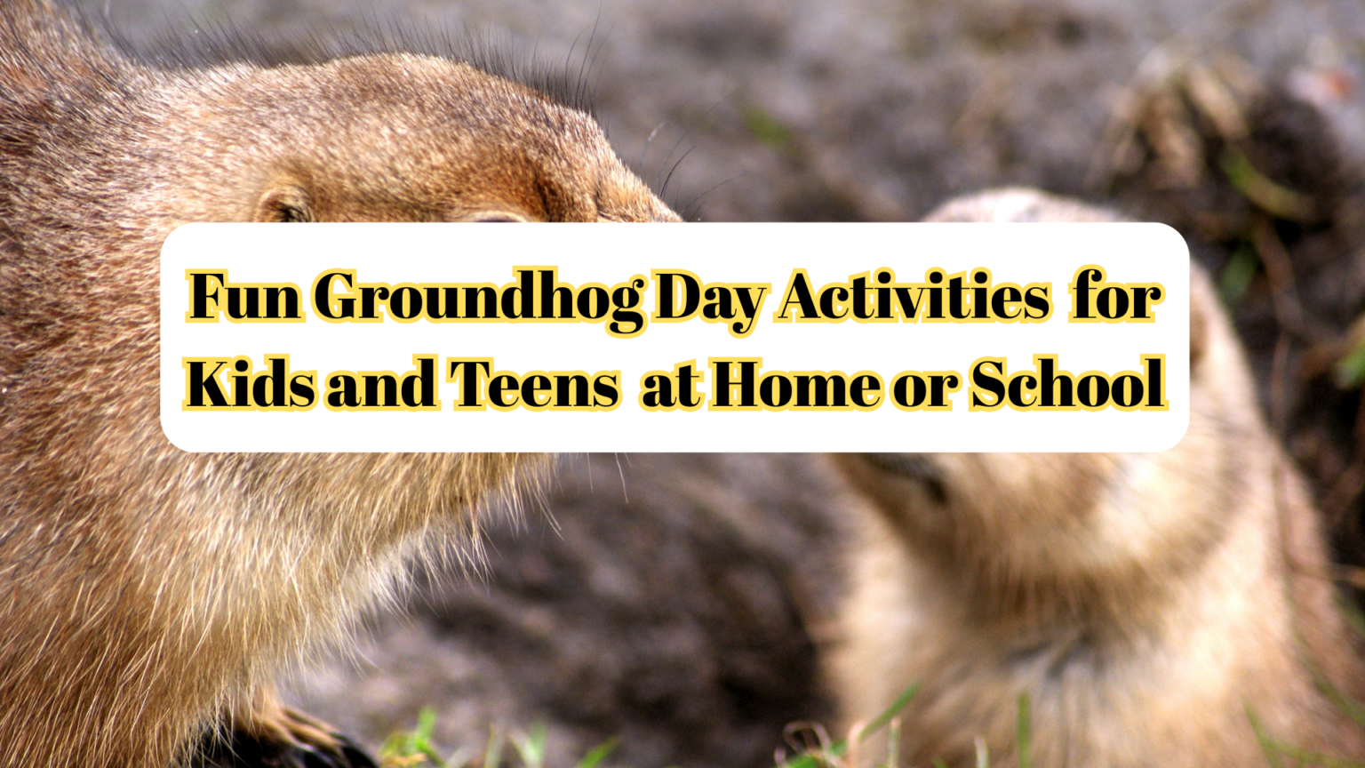 60 Fun Groundhog Day Activities for Kids and Teens at Home or School ...
